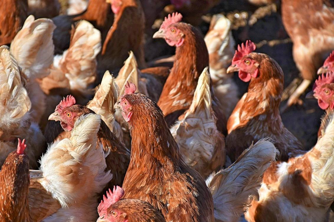 Tidak Tepat Sasaran, Dosen dan Mahasiswa Kampus Milik DPRD Sumbar Leli ...